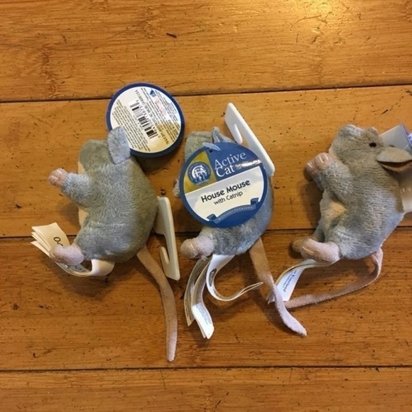Cat | Hp 3pack Stuffed Catnip Mouse Toy | Poshmark